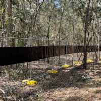 Temporary Koala Fencing - 1300TempFence
